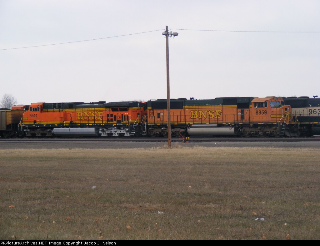 BNSF 5644 and BNSF 8859